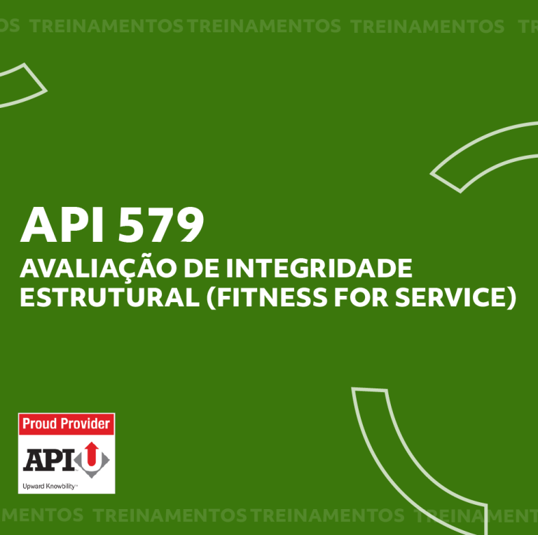 API 581/ 580 -RBI INSPEÇÃO BASEADA EM RISCOS